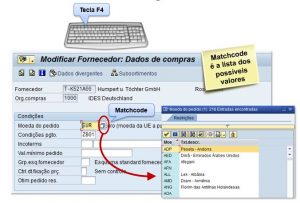 Dicas para iniciantes no SAP - Blog do Peria